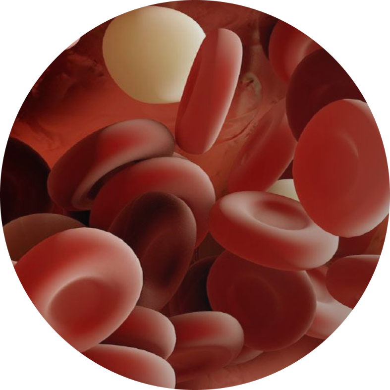 LevitasBio: Advancing Science with Levitation Technology